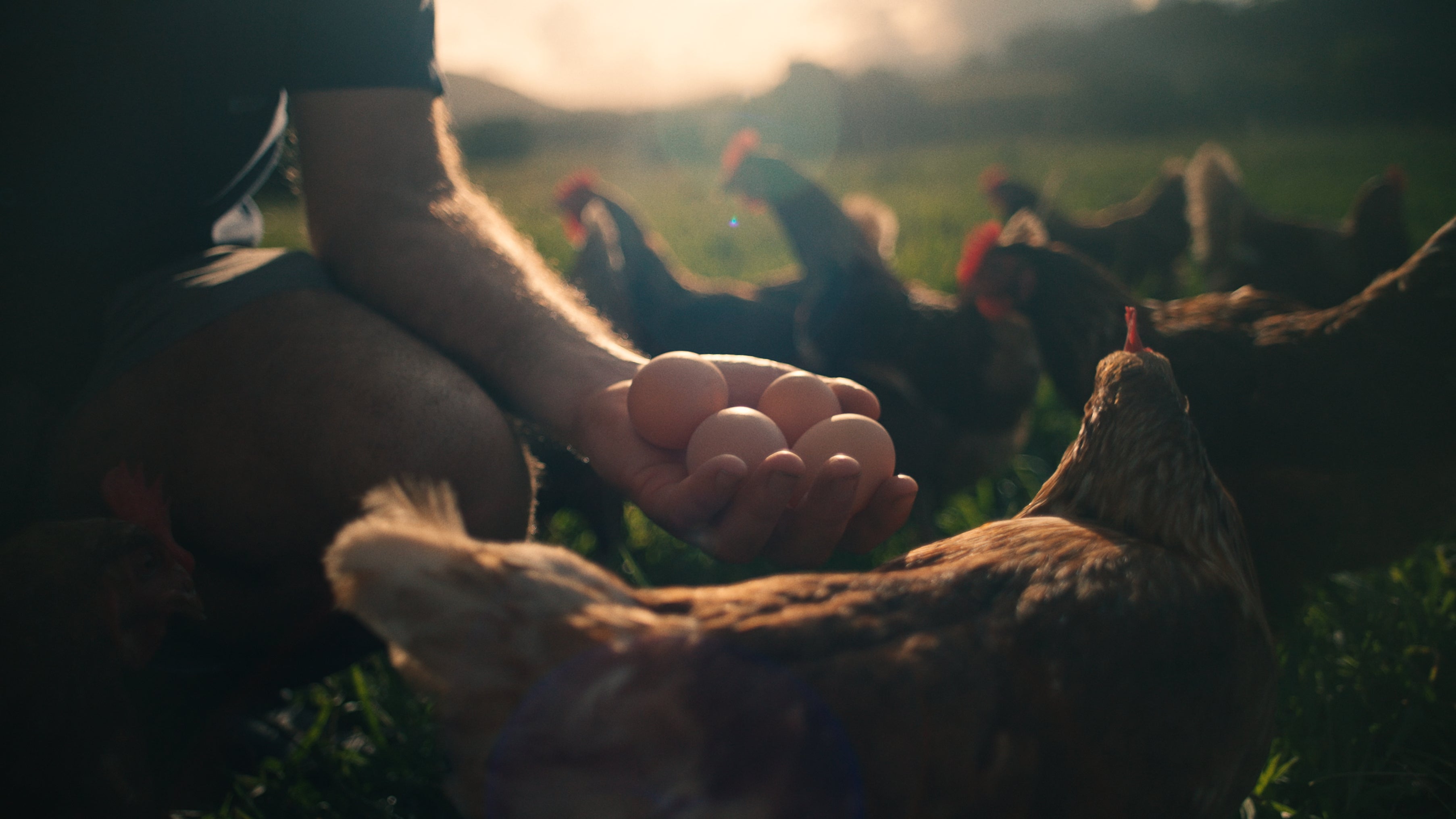 Farmer’s Footprint & The Regenerative Shift | Salt Lab